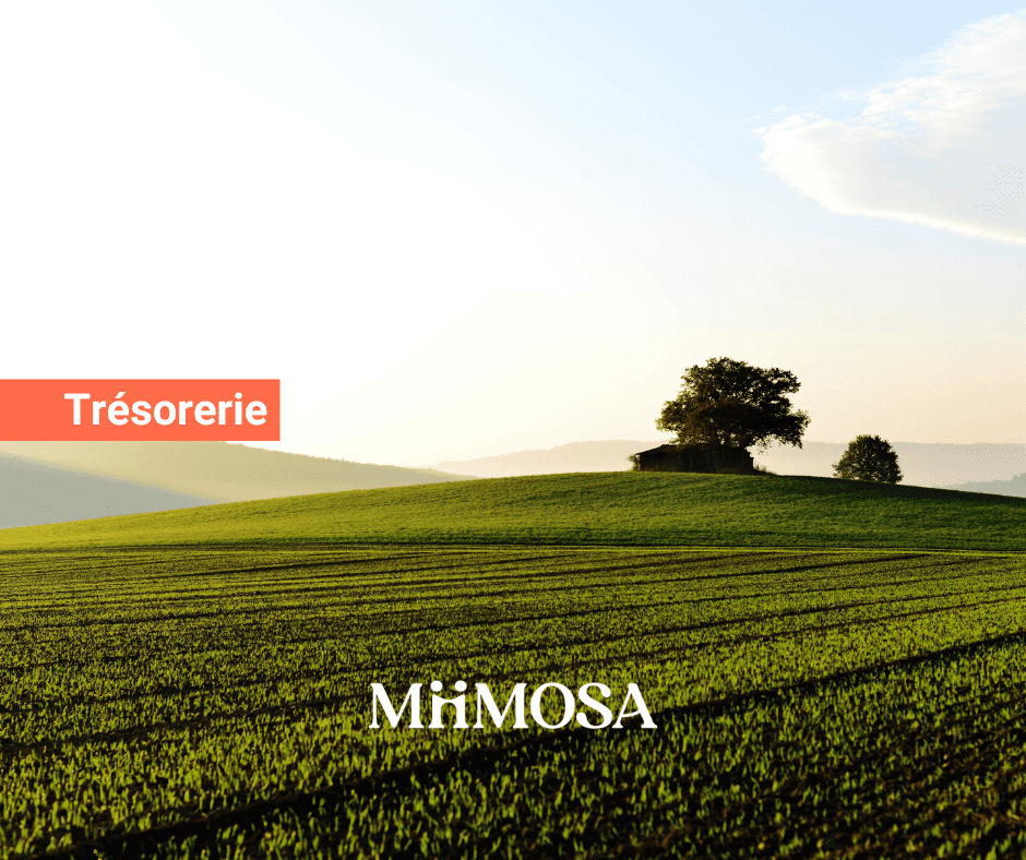 Trésorerie - Tout savoir jusqu’au financement de sa trésorerie