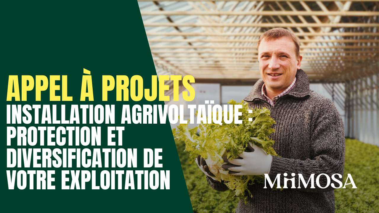 Agrivoltaïsme : Appel à proje Amarenco x MiiMOSA